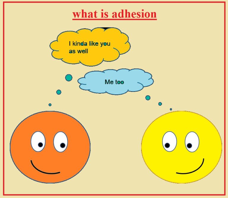 Difference Between Adhesion and Cohesion - The Engineering Knowledge