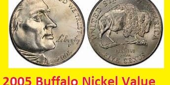 2005 Buffalo Nickel Value, Error, Worth, Charts, Mintmarks